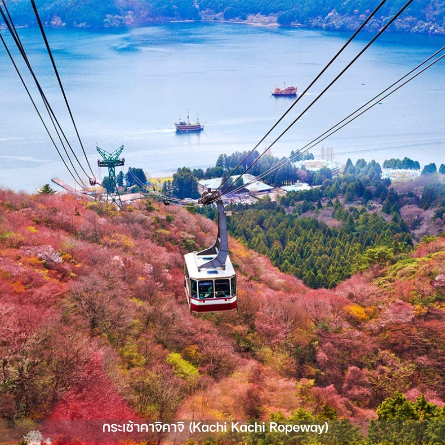 กระเช้าคาจิคาจิ (Kachi Kachi Ropeway) ,ญี่ปุ่น – DAYSPLUS TRAVEL