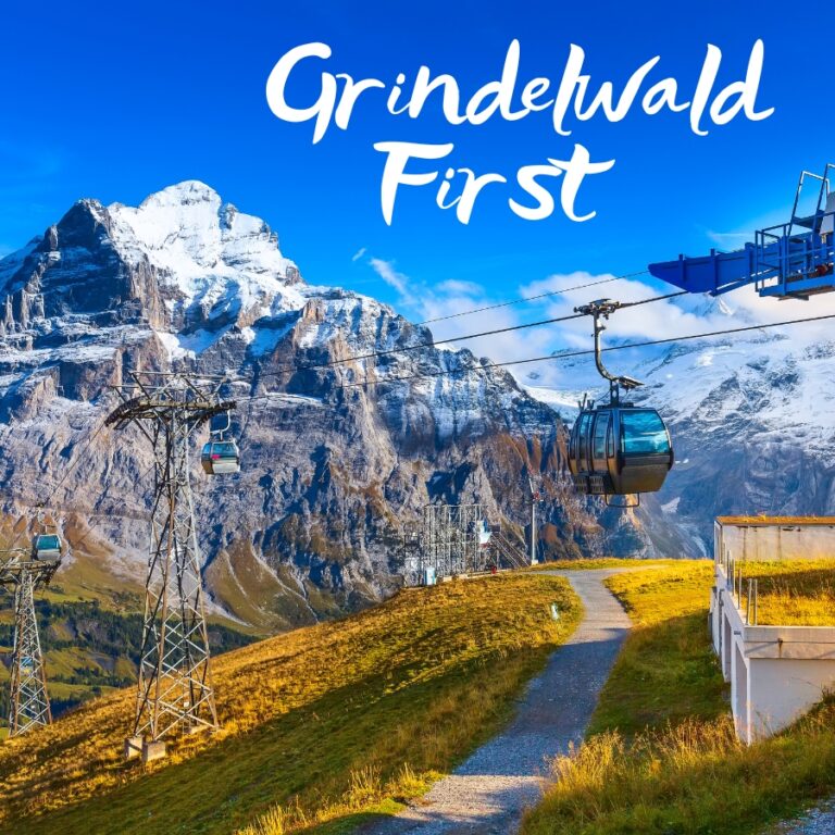 กรินเดลวาลด์ เฟียสต์ Grindelwald First ,สวิตเซอร์แลนด์ – DAYSPLUS TRAVEL